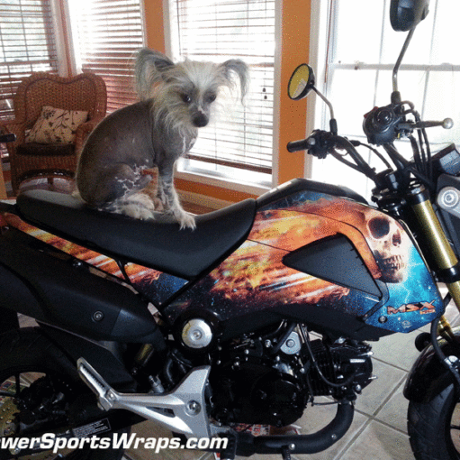 Honda Grom Archives - Powersportswraps.com