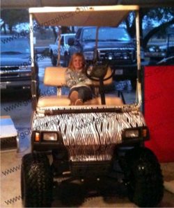 Zebra Stripes - Golfcargraphics.com