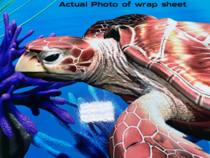 Ocean Reef - Golfcargraphics.com